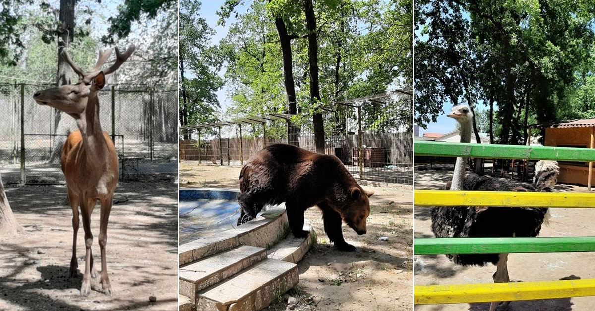 Grădina Zoologică Brăila va trece de la Administrația Piețelor și ...